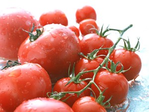 Japanese Vegetables 3: Tomatoes | SHIZUOKA GOURMET