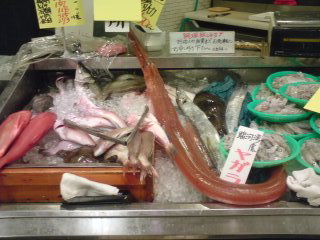 Japanese Fish Species 22: Cornet Fish-Yagara-矢柄 | SHIZUOKA GOURMET