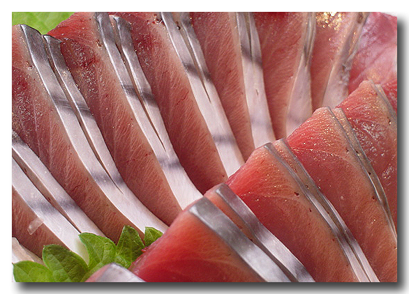 Japanese Fish Species: Bonito/Katsuo | SHIZUOKA GOURMET