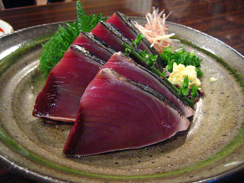 Japanese Fish Species: Bonito/Katsuo | SHIZUOKA GOURMET