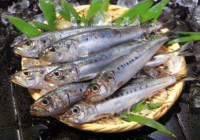 Fish Stocks Preservation & Replenishment in Japan (a research ...