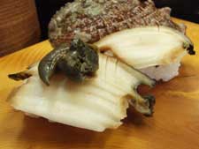 Shellfish Species 1: Abalone/Awabi | SHIZUOKA GOURMET