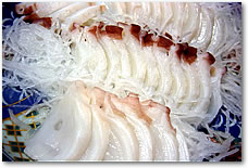 Japanese Seafood Species 3: Octopus Varieties | SHIZUOKA GOURMET