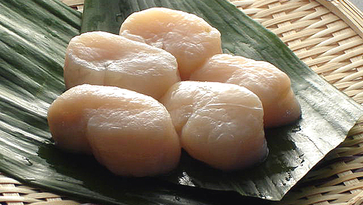 Japanese Shellfish 8: Pen Shell-Tairagi-玉珧 | SHIZUOKA GOURMET
