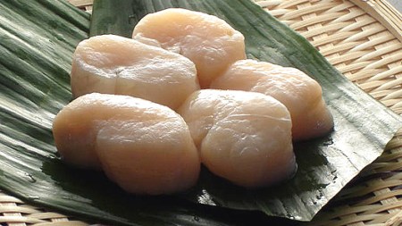 Japanese Shellfish 8: Pen Shell-Tairagi-玉珧 | SHIZUOKA GOURMET