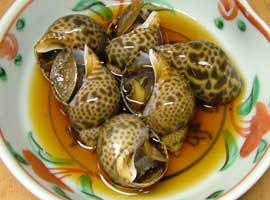 Shellfish species 12: Japanese Ivory Shell-Japanese Babylon Shell ...