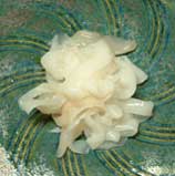 Japanese Cuttlefish/Squid Species 6: “Japanese lesser” Varieties ...