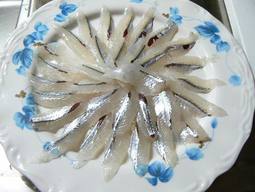 Japanese Seasonal Fish: Sayori/Japanese Half Beak | SHIZUOKA GOURMET