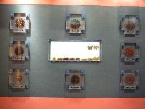 The Tea Museum: O Cha No Sato | SHIZUOKA GOURMET