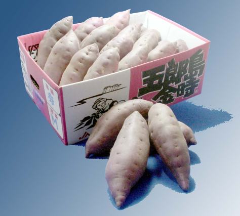 Japanese Vegetables 4: Sweet Potatoes/Satsuma Imo/薩摩芋 | SHIZUOKA GOURMET