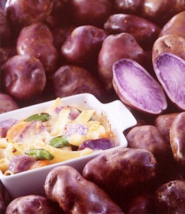 Vegetables Facts and Tips 1~21 | SHIZUOKA GOURMET