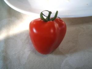 Japanese Vegetables 3: Tomatoes | SHIZUOKA GOURMET