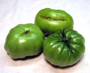 Japanese Vegetables 3: Tomatoes | SHIZUOKA GOURMET