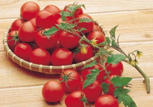 Japanese Vegetables 3: Tomatoes | SHIZUOKA GOURMET