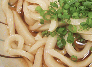 Udon: The Professional Basic Recipe | SHIZUOKA GOURMET