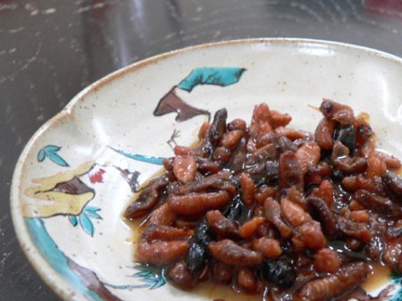 Edible bugs | SHIZUOKA GOURMET