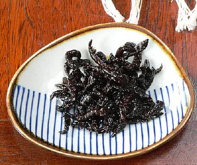 Insects & Bugs Gastronomy in Japan | SHIZUOKA GOURMET