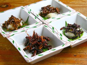 Edible bugs | SHIZUOKA GOURMET