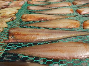 Japanese Seasonal Fish: Hirame/Olive Flounder, Bastard Halibut ...