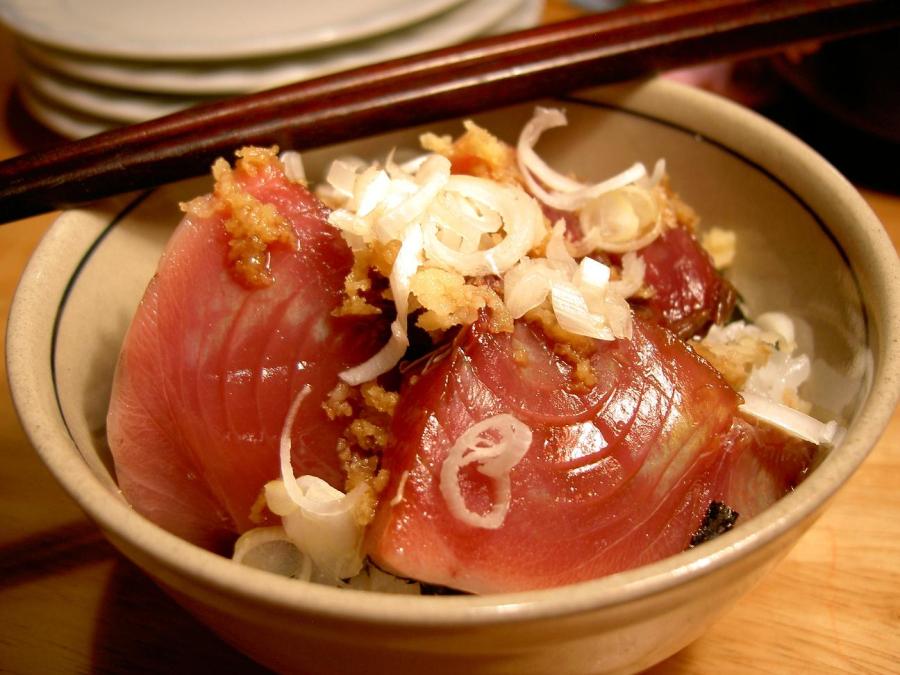 Japanese Fish Species 7: Bonito-Katuso-鰹 | SHIZUOKA GOURMET