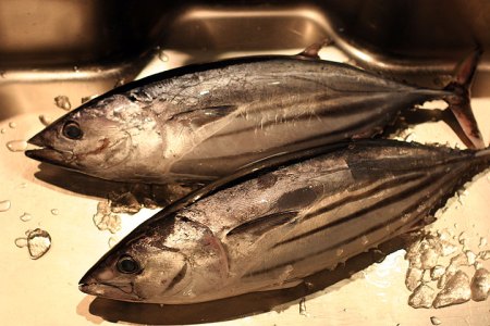 Japanese Seasonal Fish: Katsuo/Bonito | SHIZUOKA GOURMET