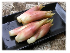 Vegan Sushi Recipe Suggestions 1~6 | SHIZUOKA GOURMET