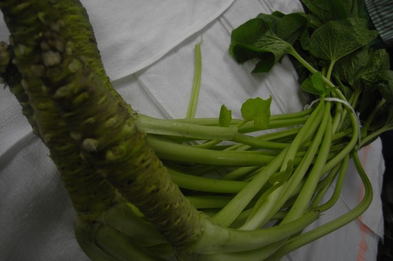 Wasabi: All you need to know! | SHIZUOKA GOURMET