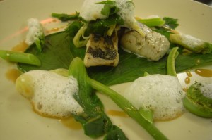 Wasabi: All you need to know! | SHIZUOKA GOURMET