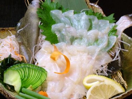 Japanese Fish Species 8: Thread-Sail Filefish-Kawahagi-カワハギ | SHIZUOKA ...