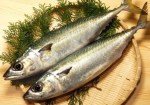 Japanese seasonal Fish: Saba/Mackerel | SHIZUOKA GOURMET