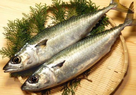 Japanese seasonal Fish: Saba/Mackerel | SHIZUOKA GOURMET