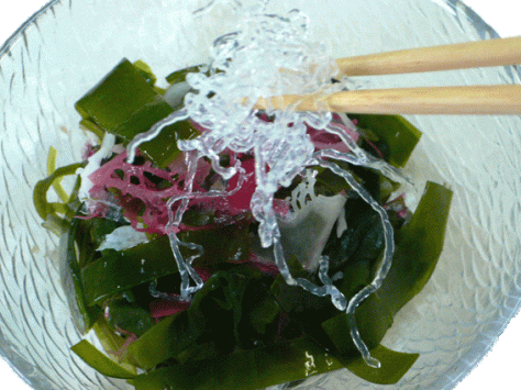 Seaweed: The Vegetable of the Oceans! | SHIZUOKA GOURMET