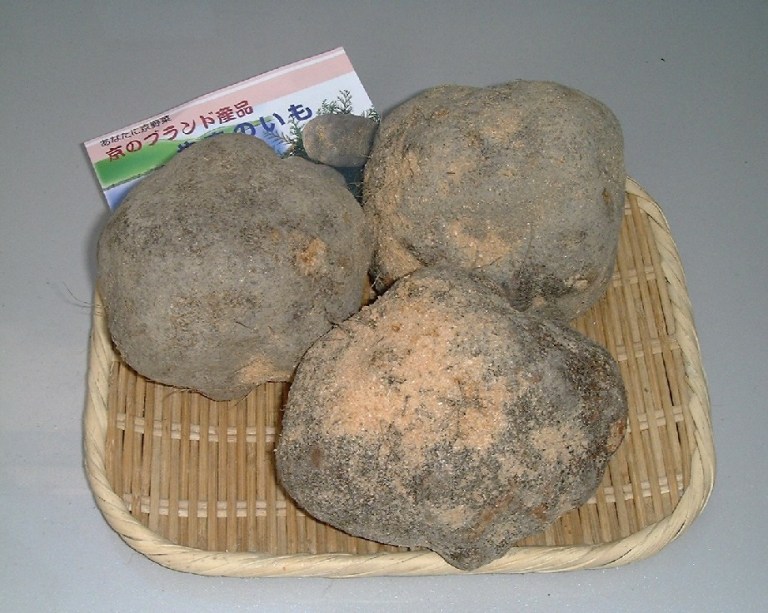 Imo: “Japanese Tubers”-The Varieties and Basic Knowledge | SHIZUOKA GOURMET