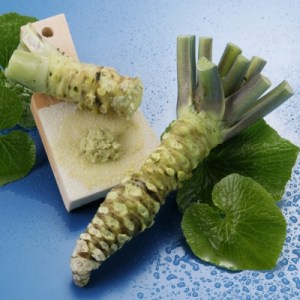 Health & Nutrition Facts in Japanese Food: 1~11 | SHIZUOKA GOURMET