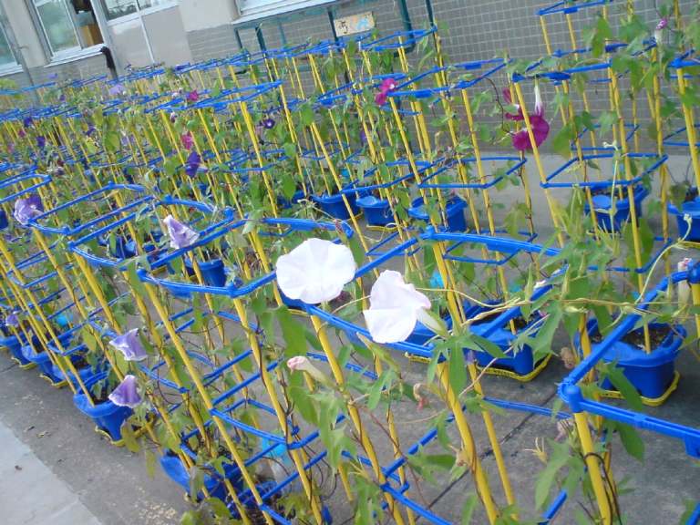 Learning Agricultural Skills From An Early Age | SHIZUOKA GOURMET