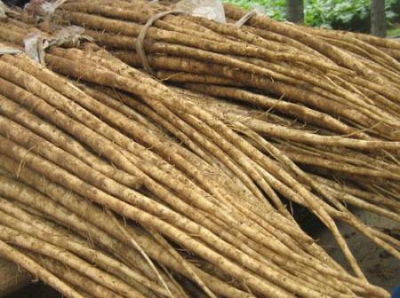 Japanese Vegetables 1~6 | SHIZUOKA GOURMET