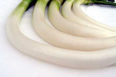 Japanese Vegetables 6: Leeks | SHIZUOKA GOURMET