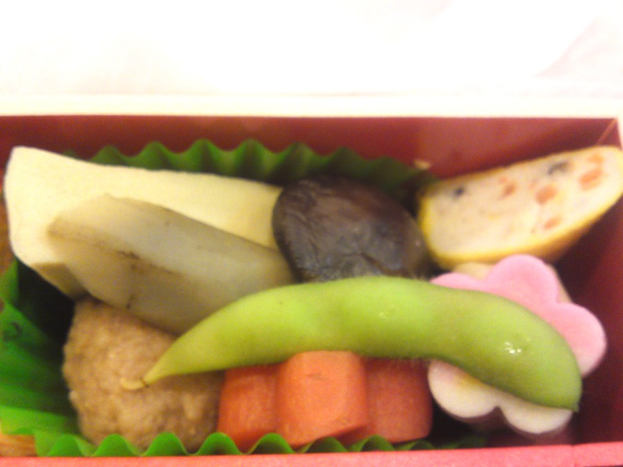 Shizuoka Ekiben/Railway Station Bento: Kazutoyo Gozen in Kakegawa JR ...