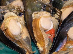 Japanese Shellfish 8: Pen Shell-Tairagi-玉珧 | SHIZUOKA GOURMET