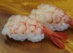 Japanese Crustacean Species 2: Large Sweet Prawn-Botan Ebi-牡丹海老 ...