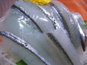 Japanese Fish Species 15: Japanese Halfbeak-Sayori-鱵, 細魚, 針魚 | SHIZUOKA ...