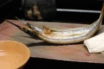 Japanese Fish Species 15: Japanese Halfbeak-Sayori-鱵, 細魚, 針魚 | SHIZUOKA ...