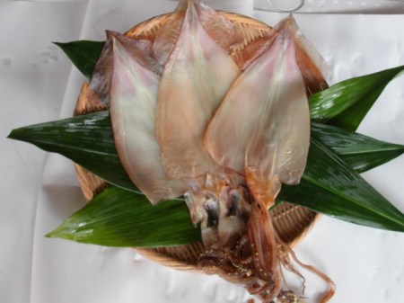 Japanese Cuttlefish/Squid Species 4: Japanese Common Squid-Pacific ...