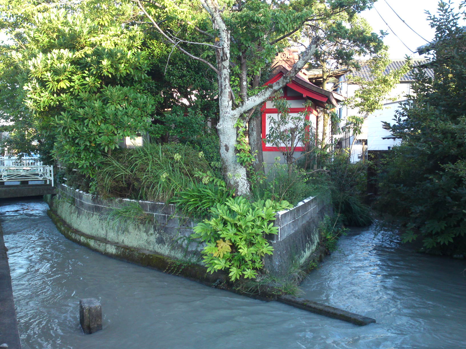 Floating Shinto Shrine in Shimada City! | SHIZUOKA GOURMET