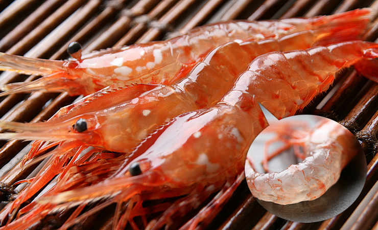 Japanese Crustacean Species 2: Botan Ebi-Large Prawn | SHIZUOKA GOURMET
