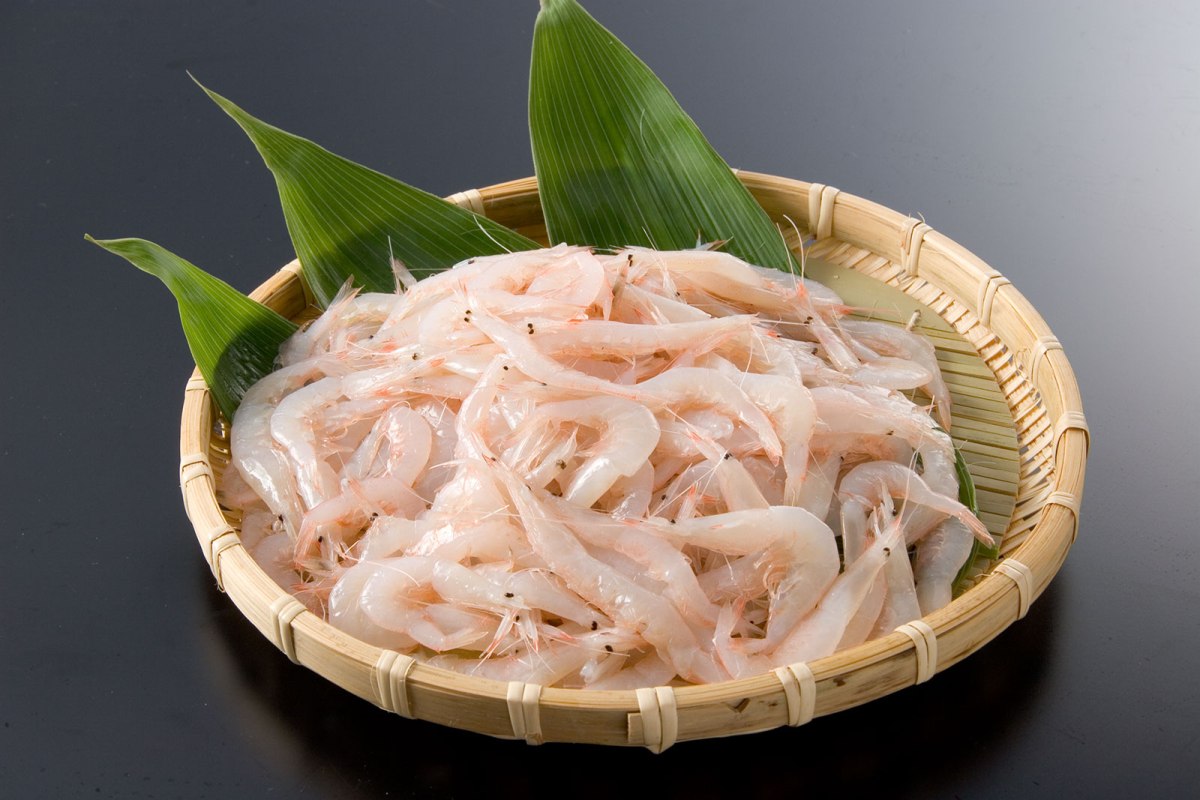 Japanese Crustacean Species 1: Shiro Ebi-White Shrimp | SHIZUOKA GOURMET